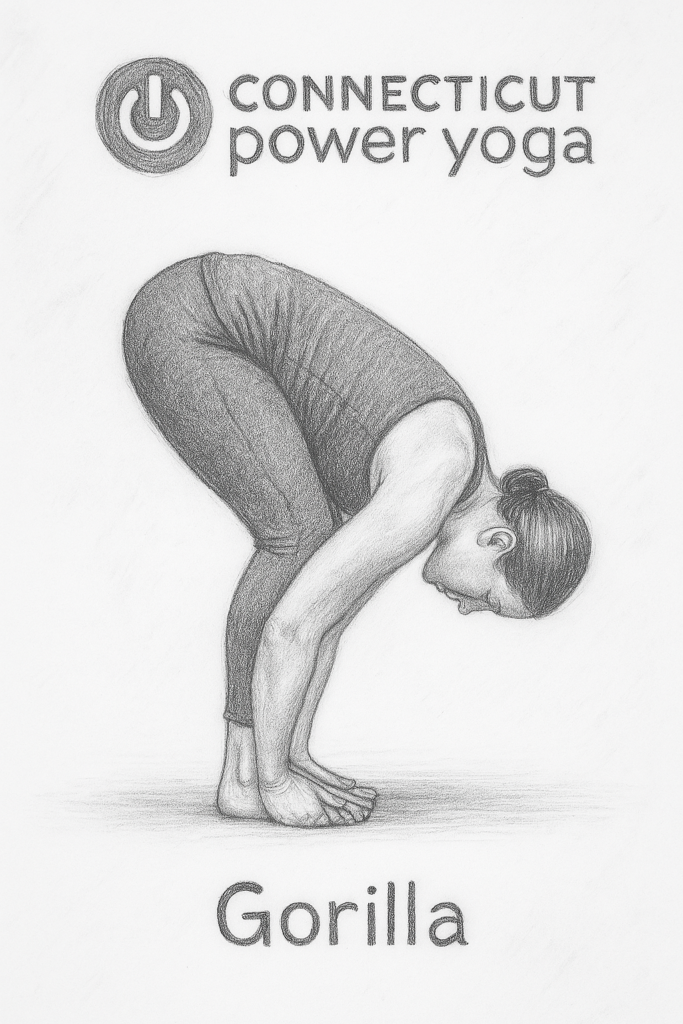 Gorilla | Connecticut Power Yoga